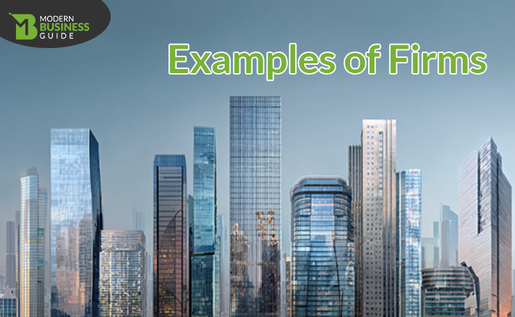 What is a Firm in Business? Definition, Types, And Examples