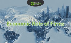 What is a Firm in Business? Definition, Types, And Examples