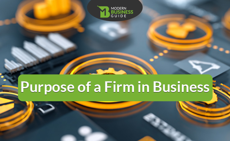 What is a Firm in Business? Definition, Types, And Examples