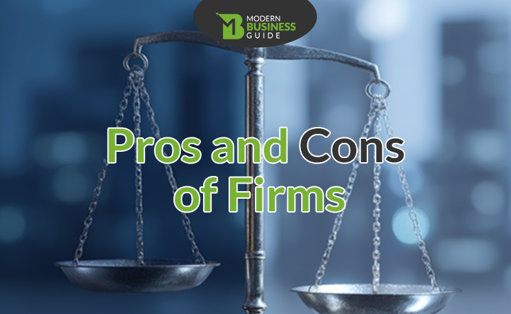 What is a Firm in Business? Definition, Types, And Examples