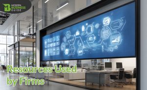 What is a Firm in Business? Definition, Types, And Examples