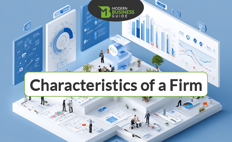 What is a Firm in Business? Definition, Types, And Examples